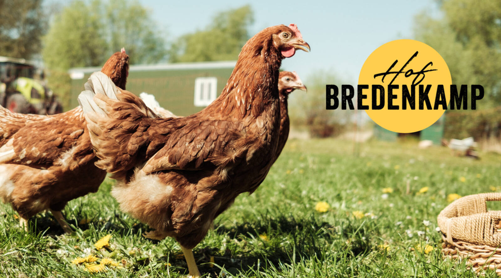 Hof Bredenkamp - Bastorf