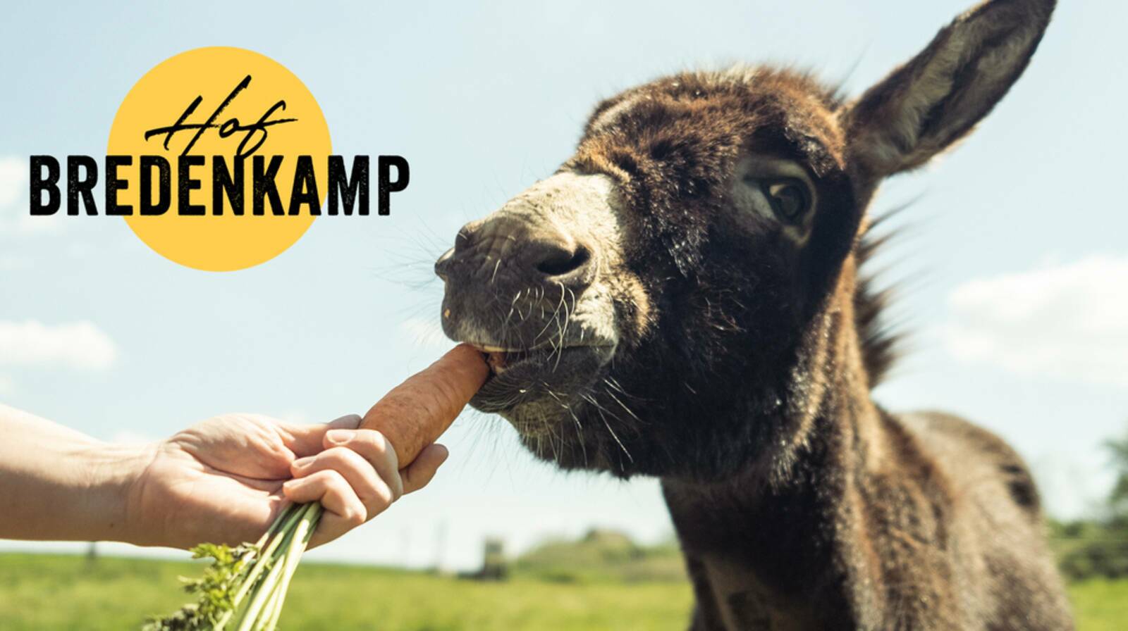 Hof Bredenkamp - Bastorf